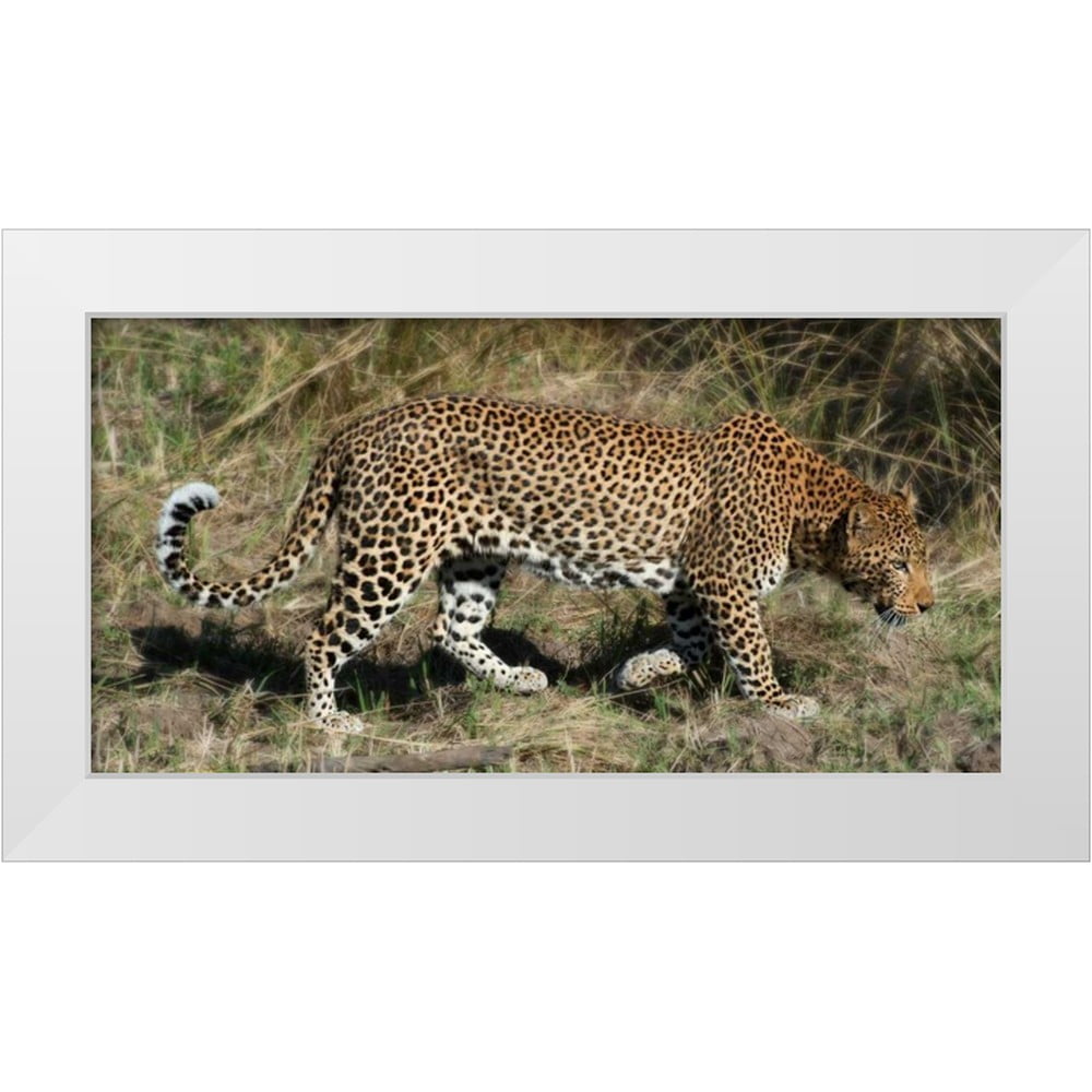 Bennion, Scott 14x9 White Modern Wood Framed Museum Art Print Titled ...