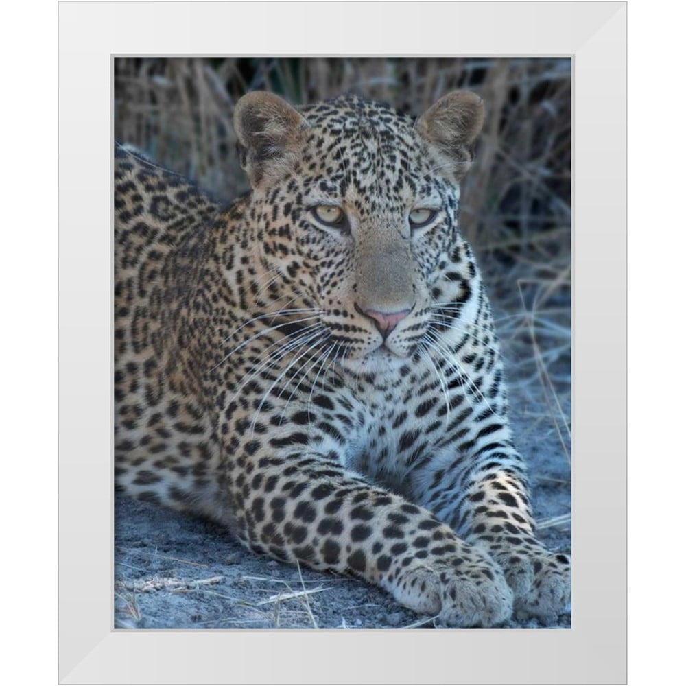 Bennion, Scott 26x32 White Modern Wood Framed Museum Art Print Titled ...