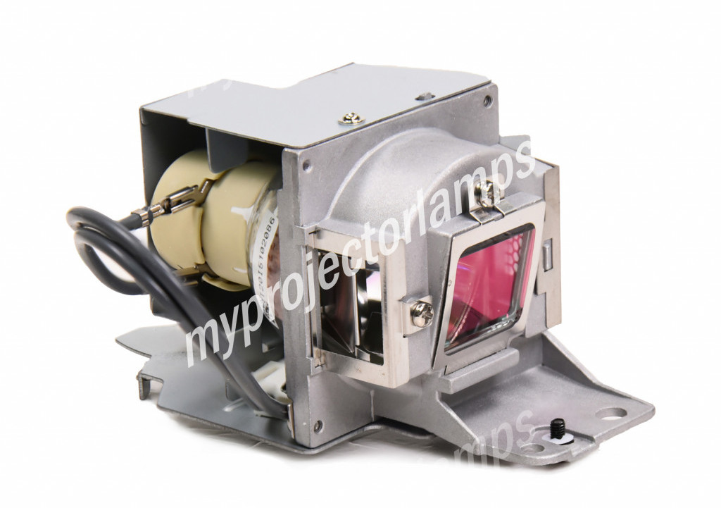 Benq 5J.J9205.002 Projector Lamp with Module - Walmart.com