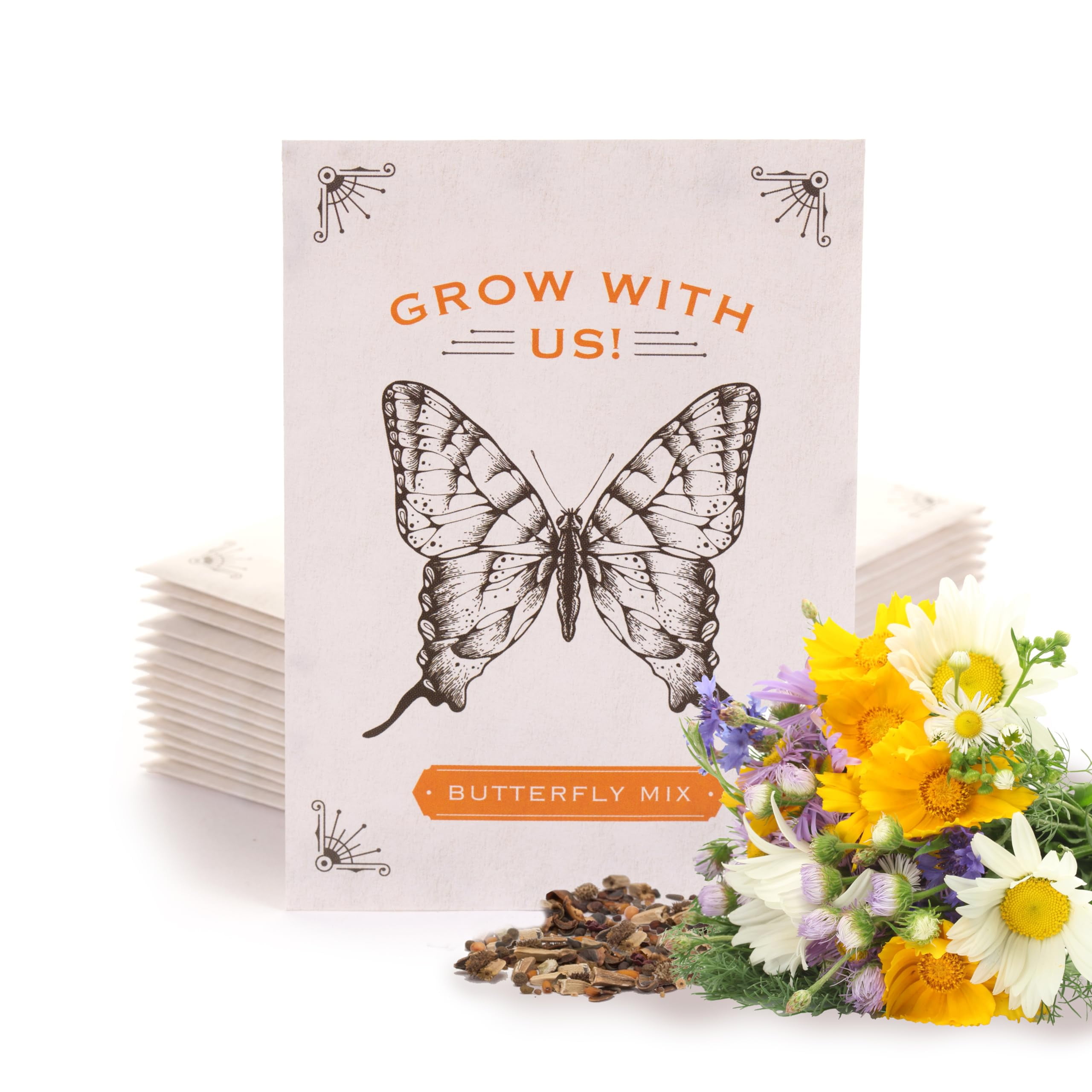 Bentley Seeds Grow with Us Pre Filled Butterfly Mix Seed Packets - 25 ...