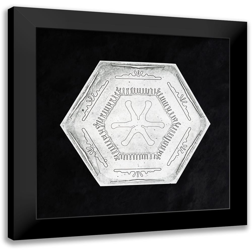 Bentley, Wilson 20x20 Black Modern Framed Museum Art Print Titled ...