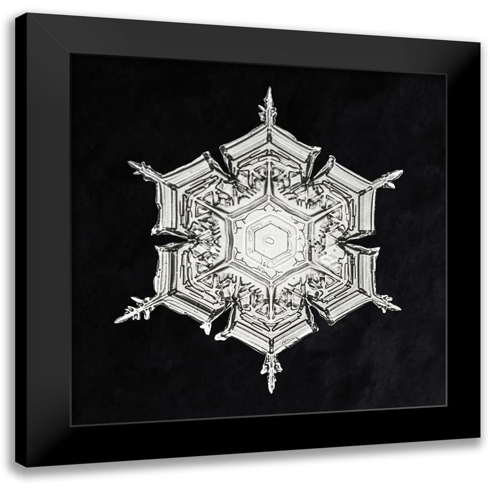 Bentley, Wilson 20x20 Black Modern Framed Museum Art Print Titled ...