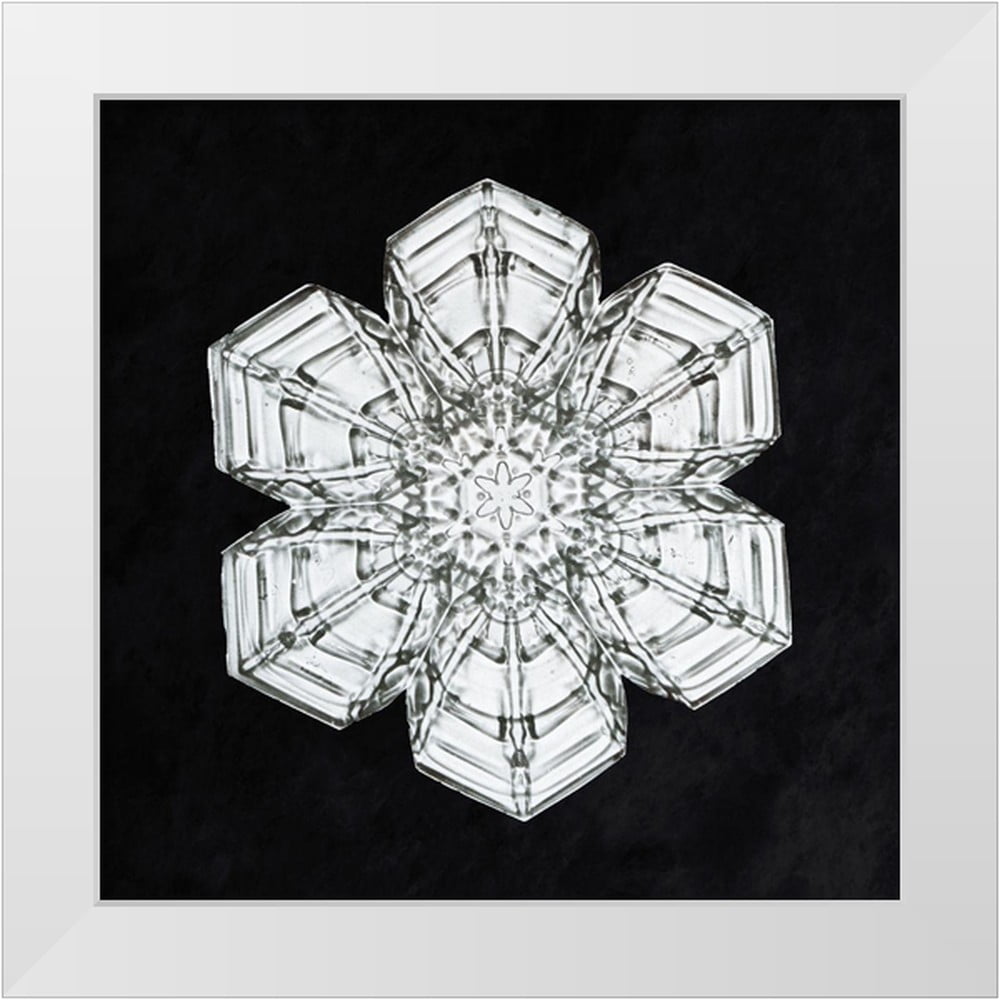 Bentley, Wilson 20x20 White Modern Wood Framed Museum Art Print Titled ...