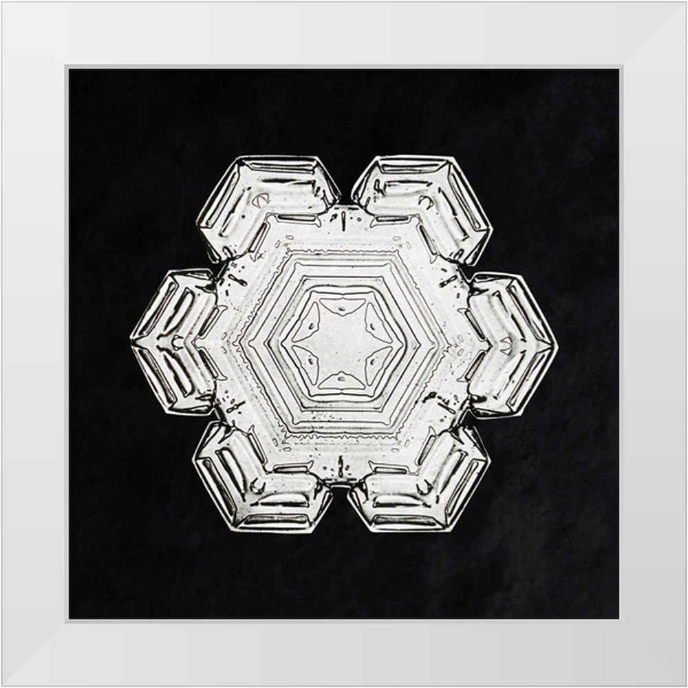 Bentley, Wilson 20x20 White Modern Wood Framed Museum Art Print Titled ...