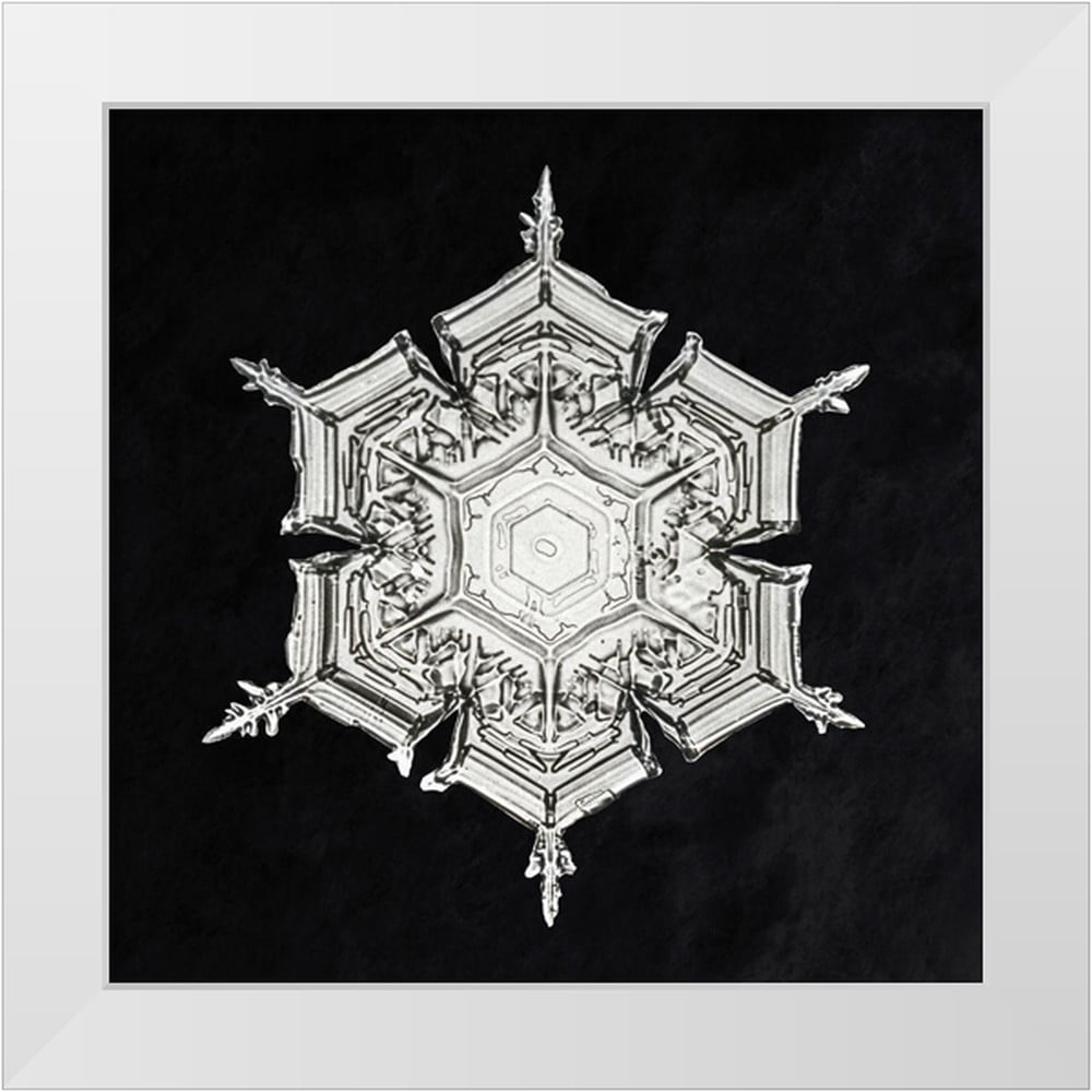 Bentley, Wilson 20x20 White Modern Wood Framed Museum Art Print Titled ...