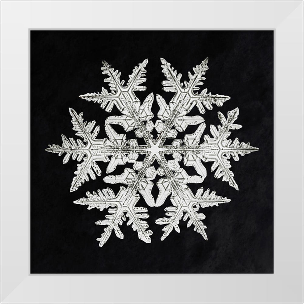 Bentley, Wilson 20x20 White Modern Wood Framed Museum Art Print Titled ...