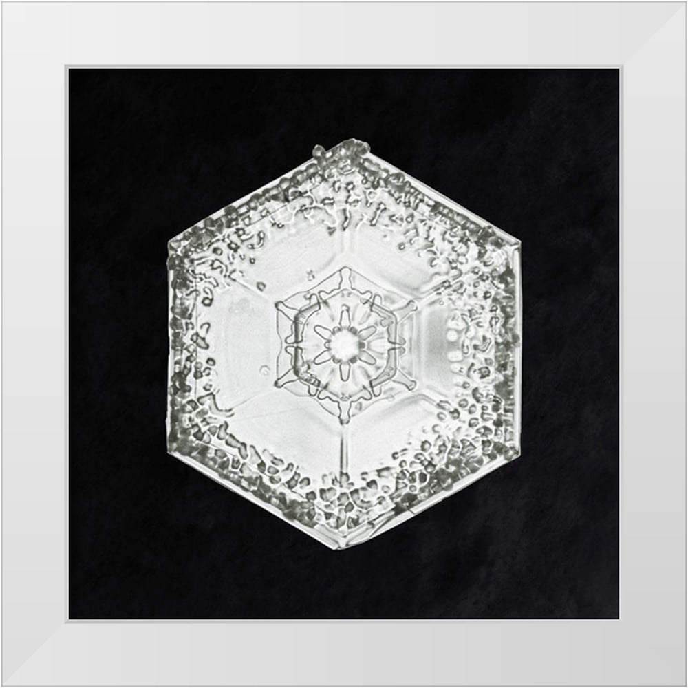 Bentley, Wilson 20x20 White Modern Wood Framed Museum Art Print Titled ...