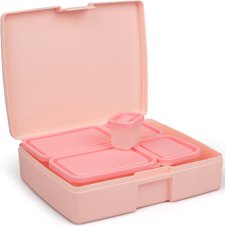 Disposable Bento Boxes