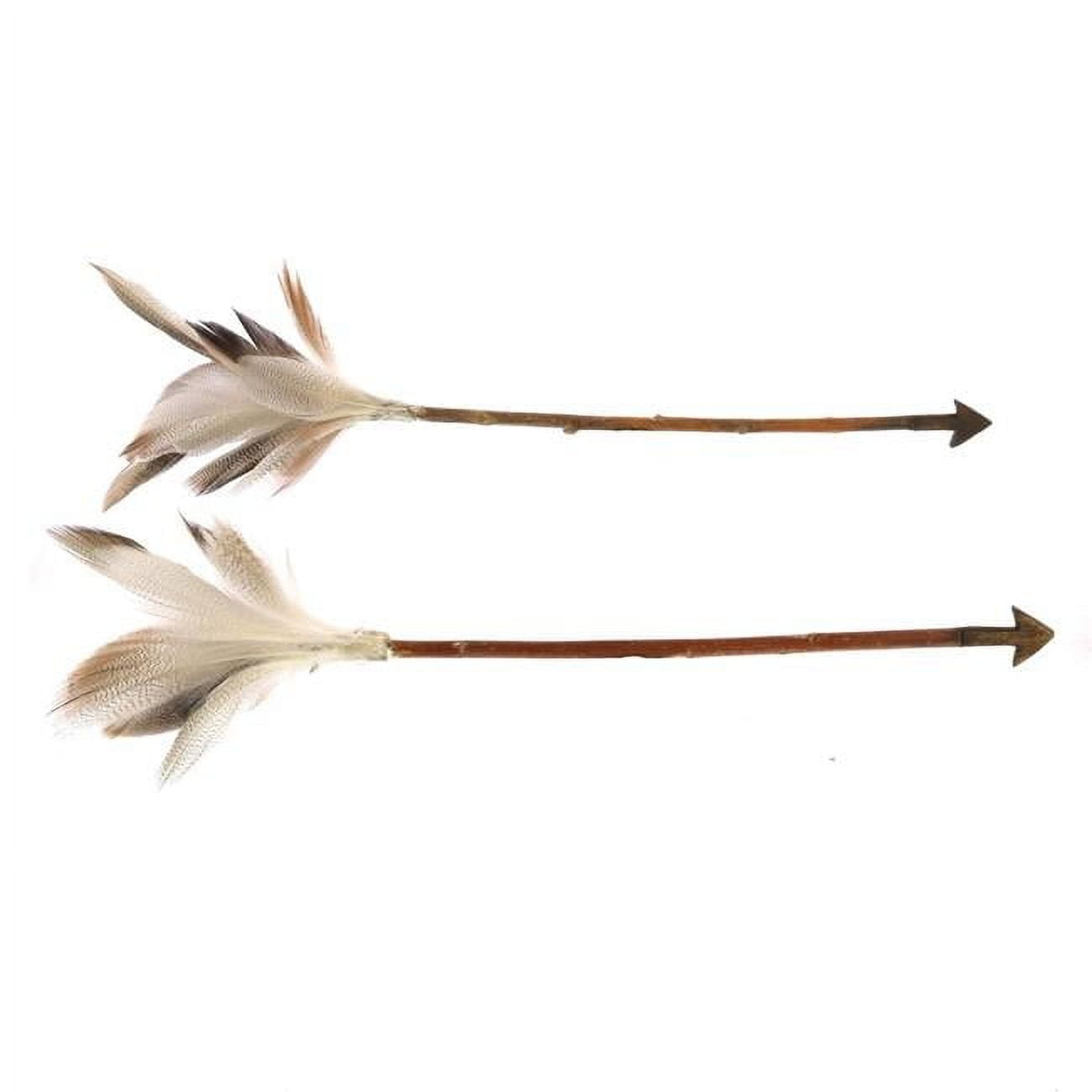 Twig Arrow