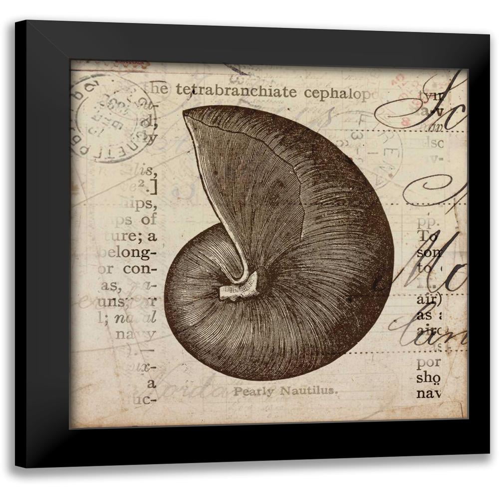 Berg, Sabine 20x20 Black Modern Framed Museum Art Print Titled - Ocean ...