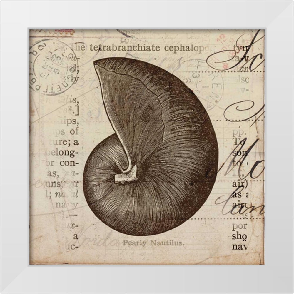 Berg, Sabine 20x20 White Modern Wood Framed Museum Art Print Titled ...