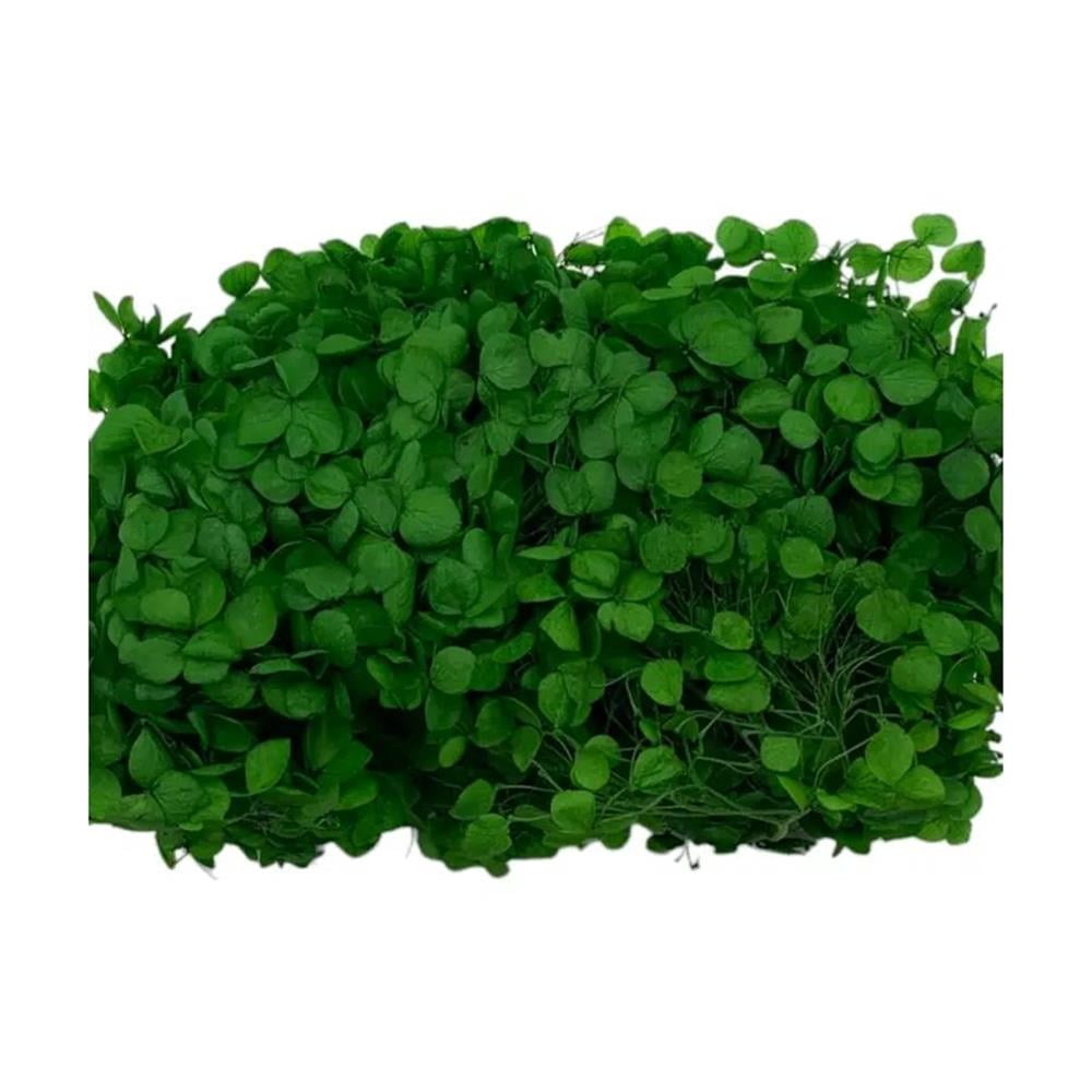 Bergamo Art Preserved Anna Hydrangea(Box) in Dark Green - Walmart.com