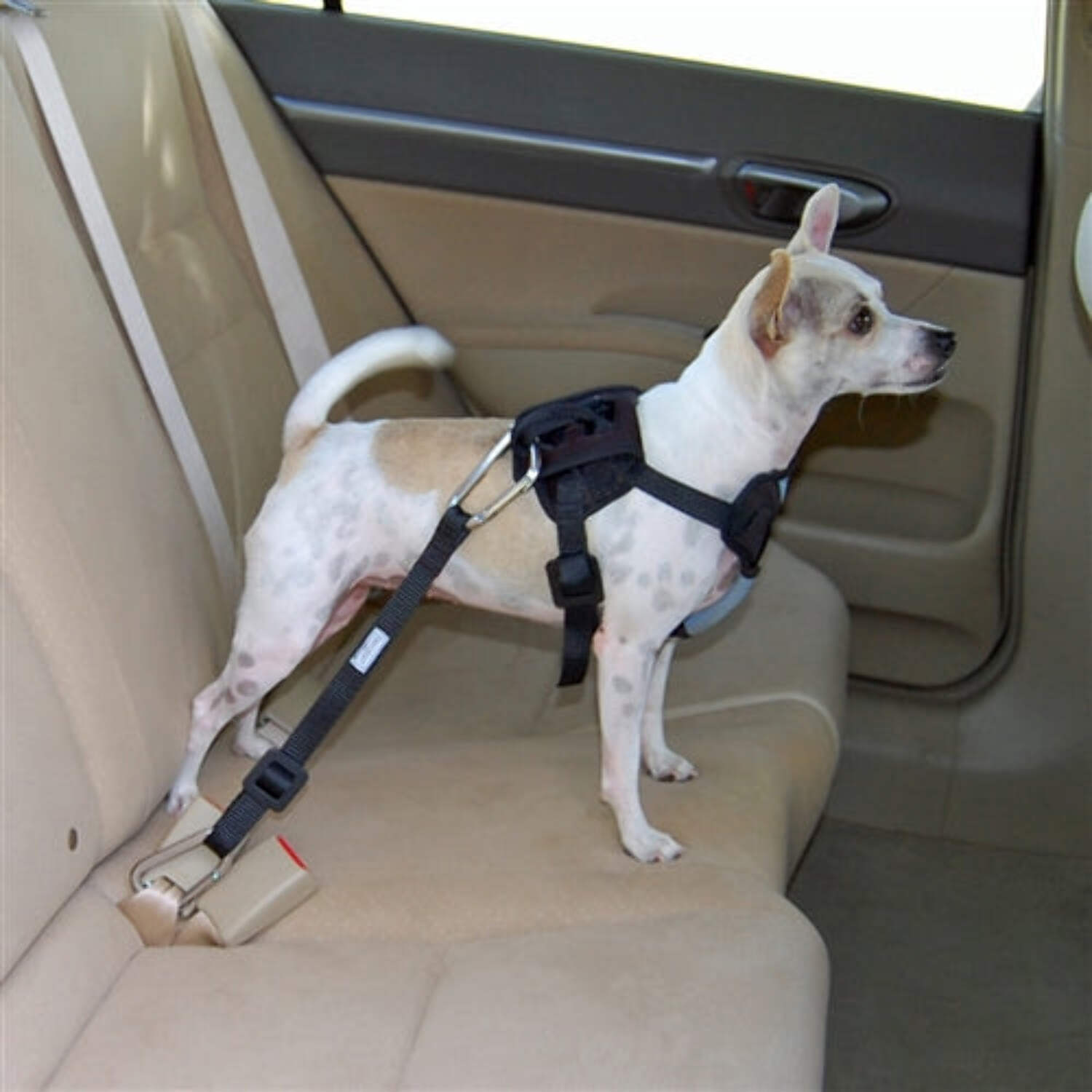 Bergan Dog Travel Harness, Small, Blue - Walmart.com