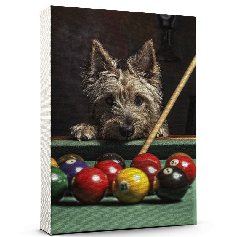 Berger Picard Dog Canvas Billiards Canvas – Cute Berger Picard Canvas ...