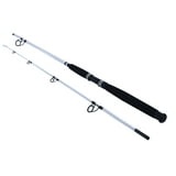 Berkley Big Game™ Spinning Rod, 8' Medium Heavy Fishing Rod, 2 Piece ...