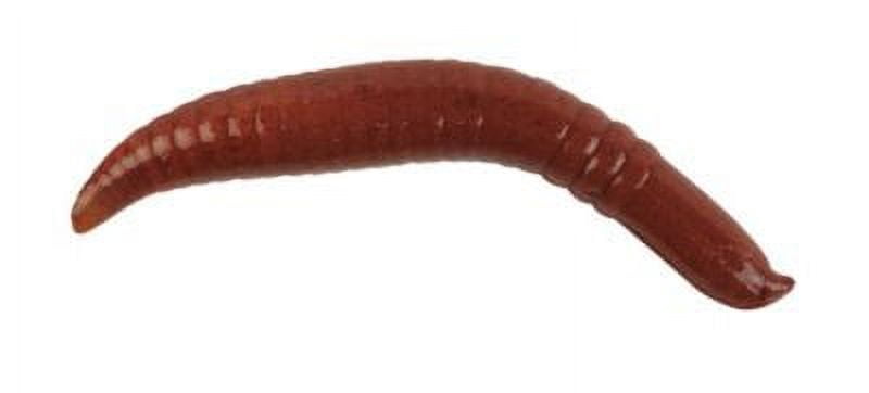 Berkley Gulp! Alive! 2" Garlic Floating Pinched Crawler - Walmart.com