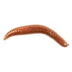 Berkley Gulp! Extruded Nightcrawler Soft Bait - Walmart.com