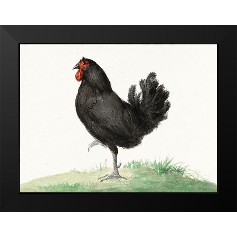 Bernard, Jean 18x15 Black Modern Framed Museum Art Print Titled ...