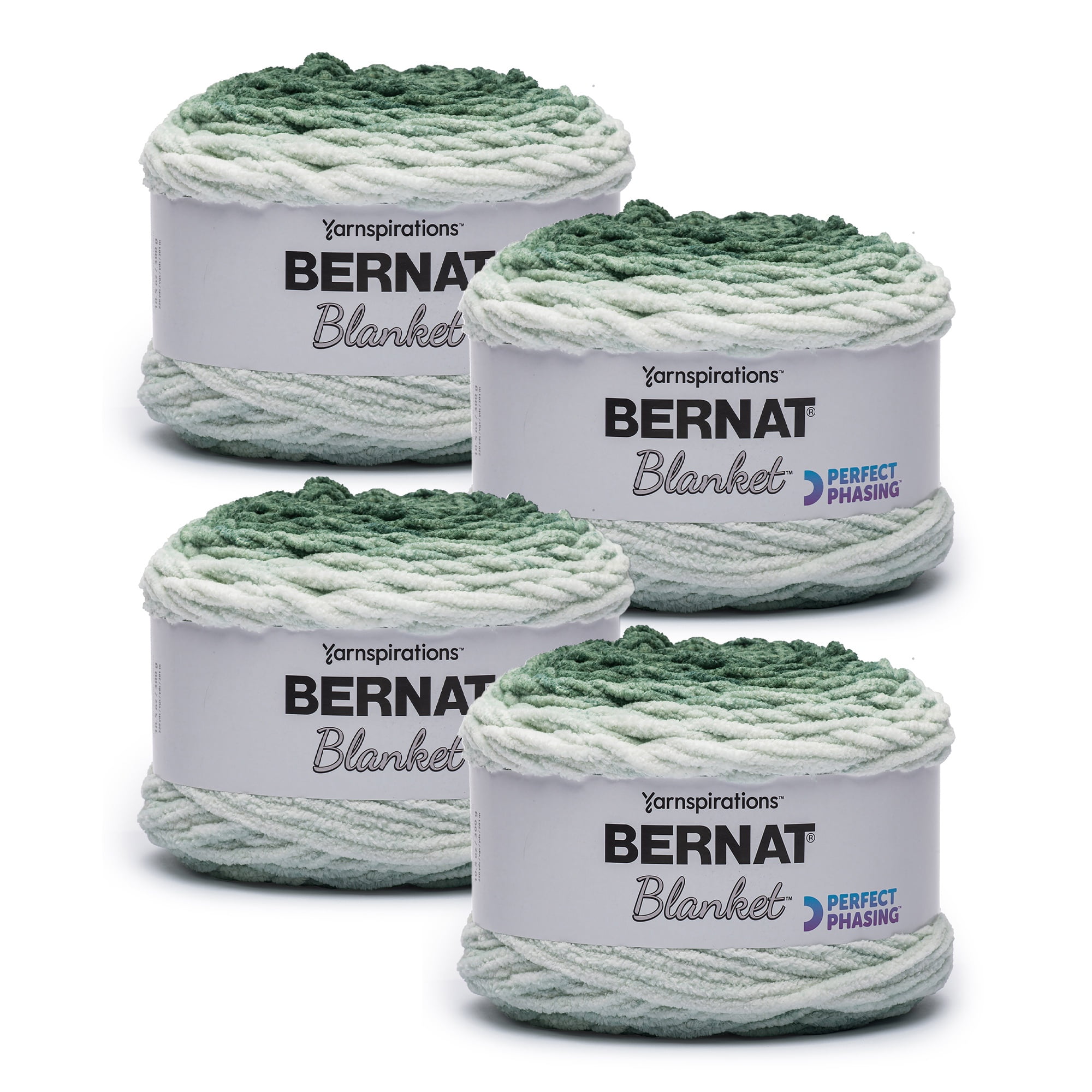 Bernat® Perfect Phasing #6 Super Bulky Polyester Yarn, forest 10.5oz ...