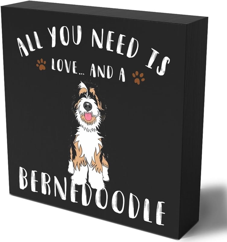 Bernedoodle Wooden Box Sign Plaque All You Need Is Love And A ...