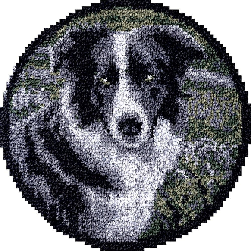 Bernes Mountain Dog Latch Hook Round Rug Kits Set for Starter Crochet ...