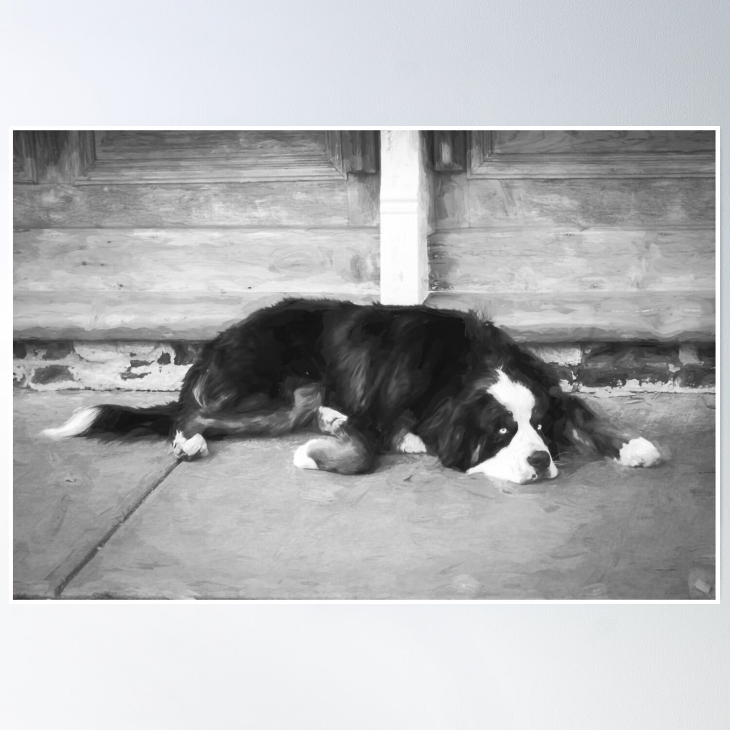 Bernese Mountain Dog Aspen X101 Poster Wall Art, Modern Wall Decor, 24x36 UNFRAMED - Walmart.com