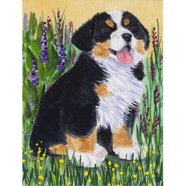 Caroline's Treasures SS8268-FLAG-PARENT Pharaoh Hound Flag, , multicolor - Walmart.com