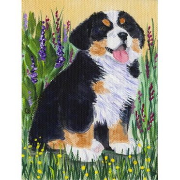 Caroline's Treasures SS8268-FLAG-PARENT Pharaoh Hound Flag, , multicolor - Walmart.com