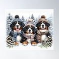 Bernese Mountain Dogs In Winter Hats And Scarves Poster Wall Art Modern ...