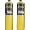 Coleman Portable Propane Camping Gas Tank Canister Refills, 2-Pack ...