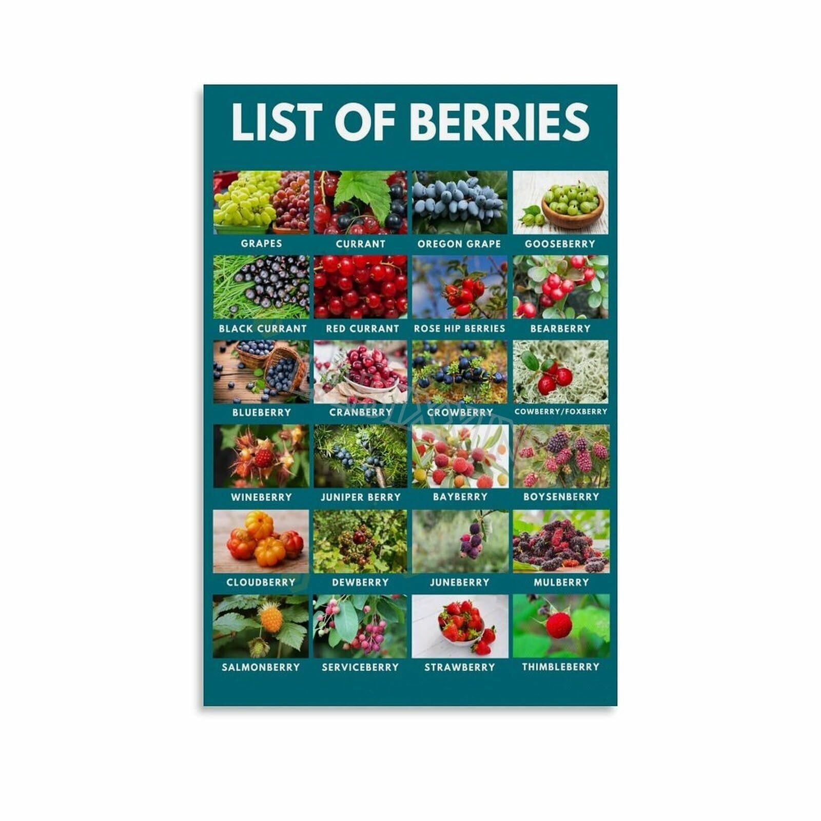 Berries Types Chart Guide Poster Health Fruit Kitchen Wall Art (2 ...