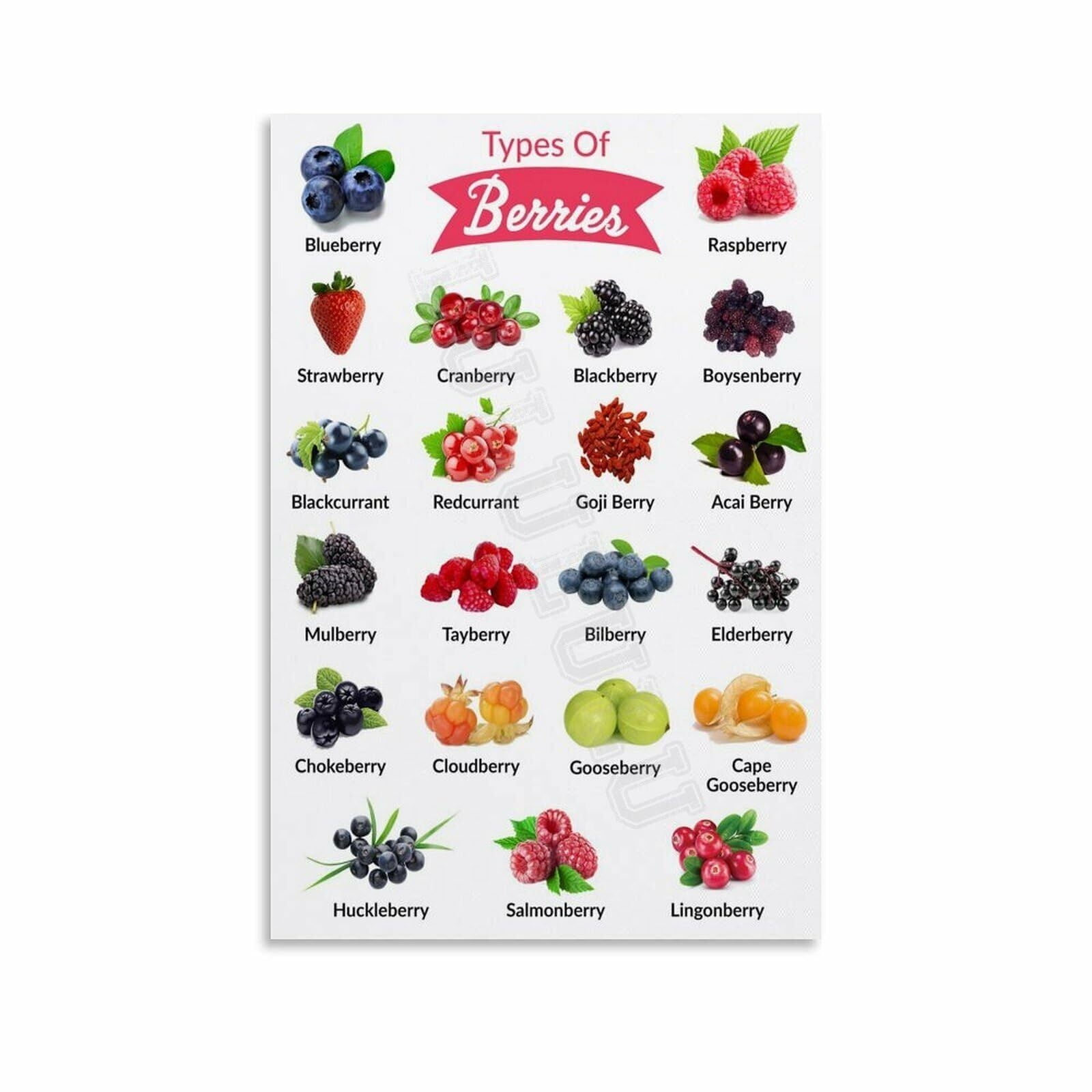 Berries Types Chart Guide Poster Health Kitchen Wall Art (7) Canvas ...