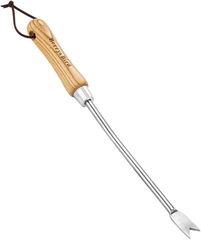 Berry&Bird Dandelion Weeding Tool Crack Weeder Manual Hand Weeder, V ...