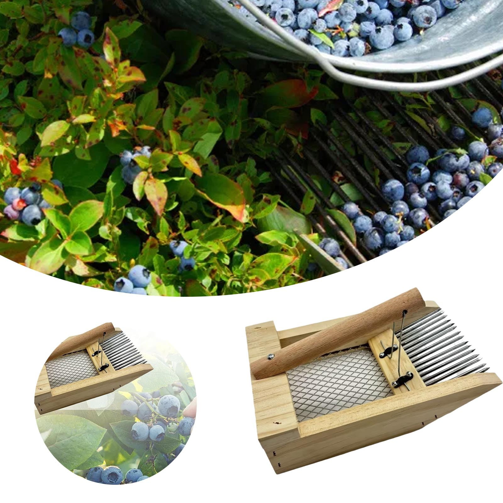 Berry Blueberry Storage - Walmart.com