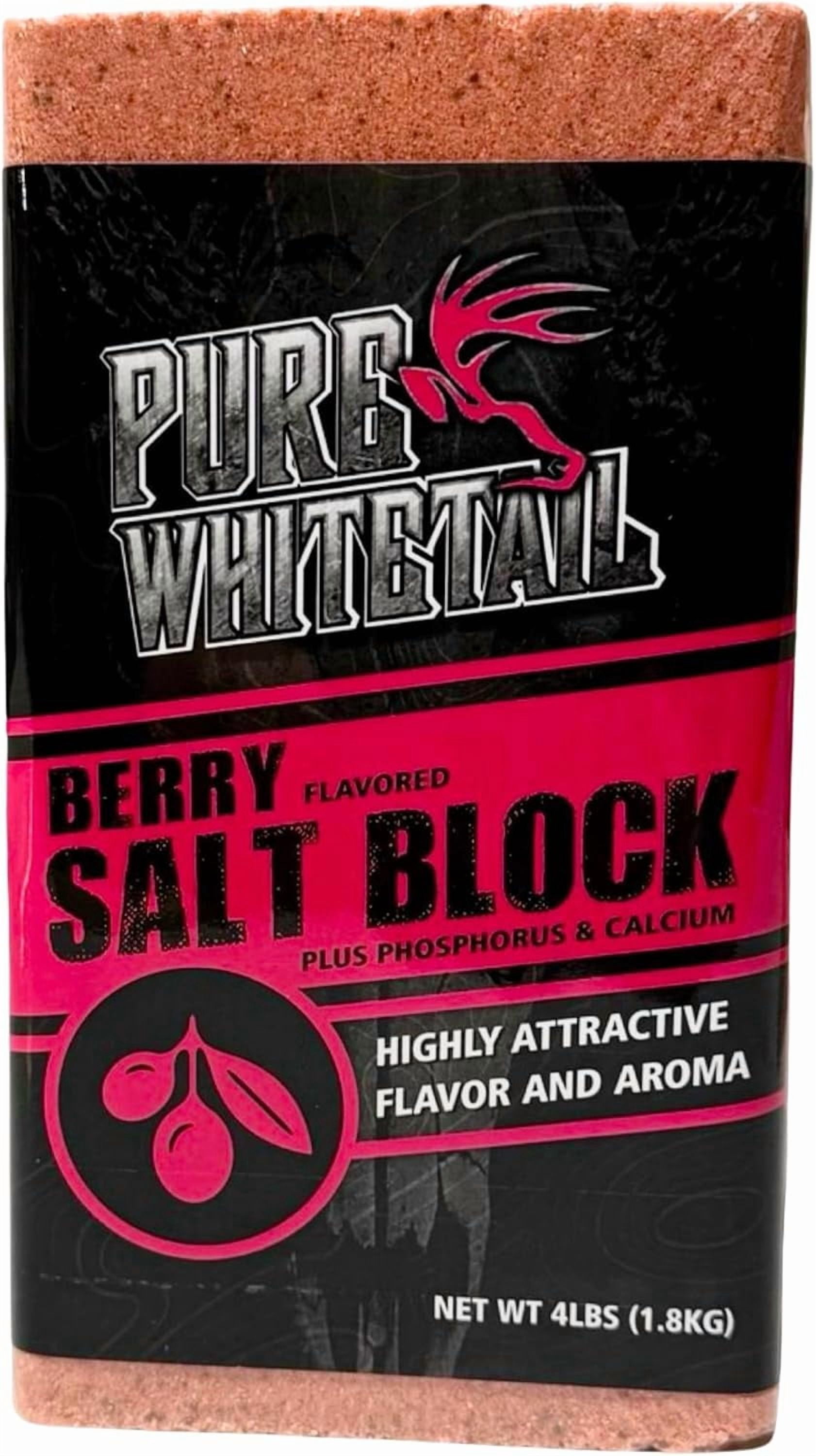 Berry Flavored Salt Block | Hunting & Backyard Deer Food Supplement ...