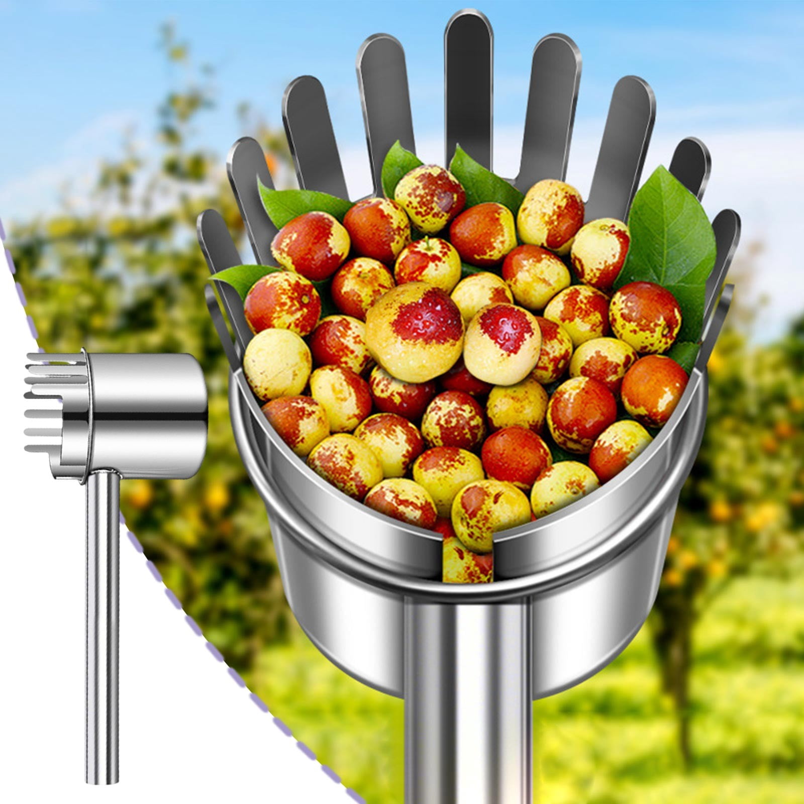 Berry Picker Fruit Plucker Tool with Stainless Steel Comb for Easy ...