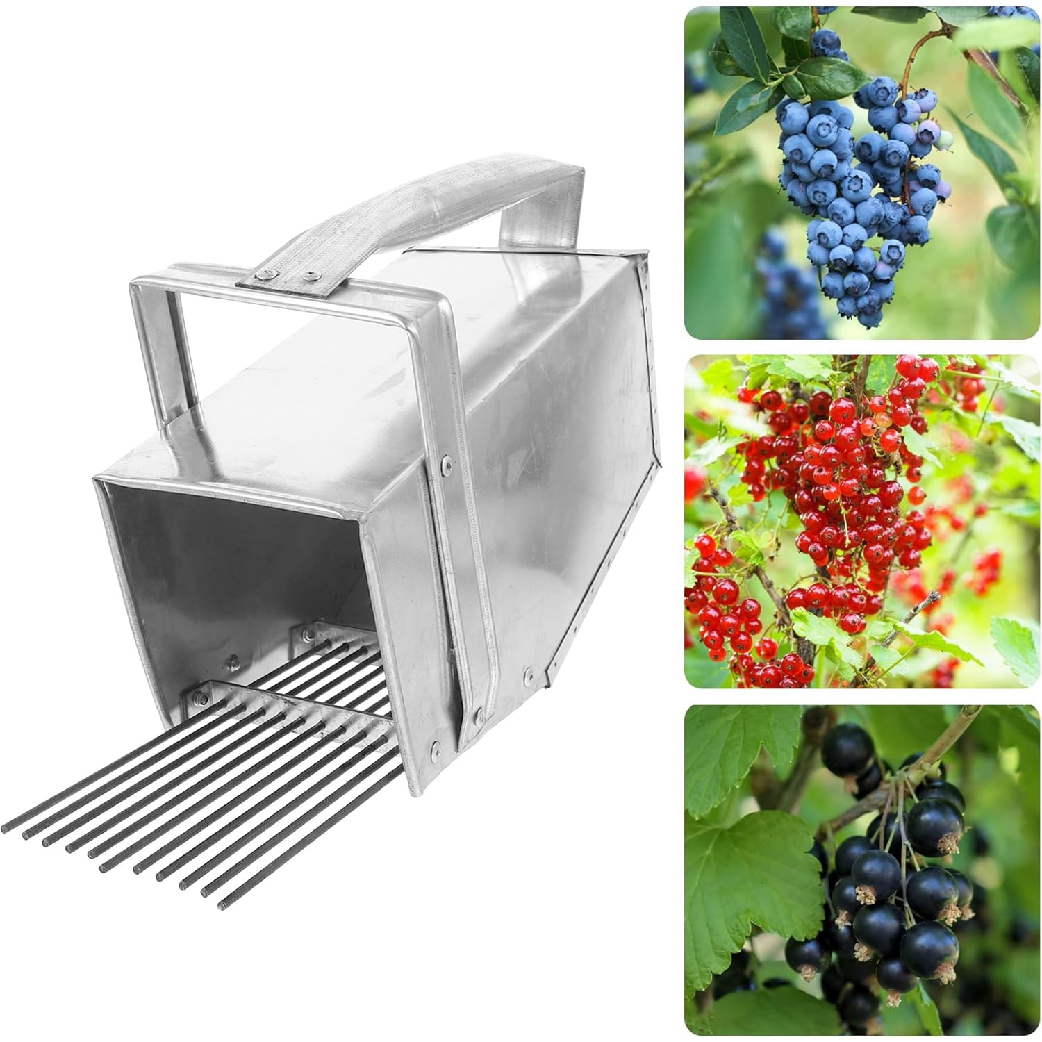 Berry Picker, Berry Pickers and Rakes with Metallic Comb and Ergonomic ...