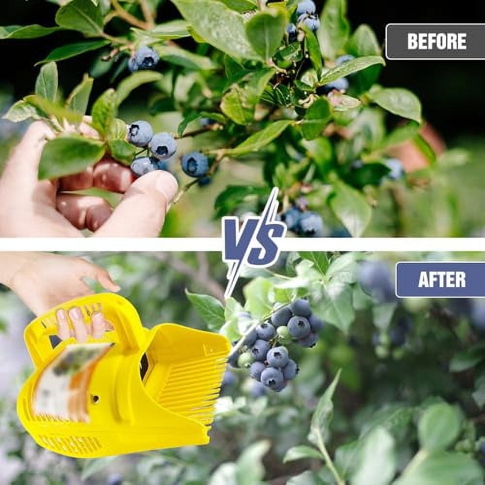 Berry Picker with Plastic Comb, Fruit Picker Tool Blueberry Picker ...