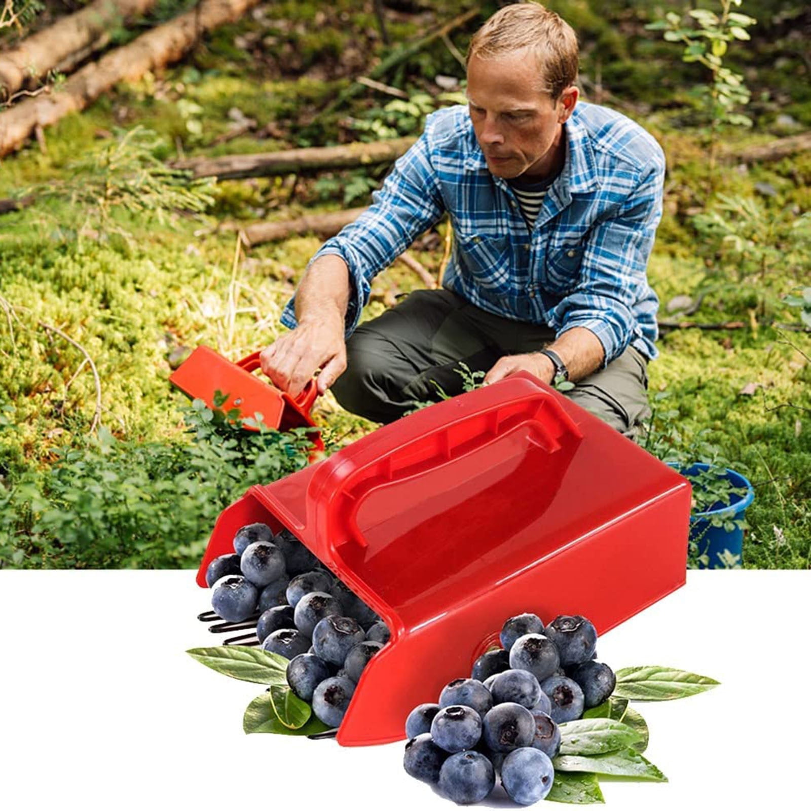 Berry Pickerss With Metallic Comb Blueberry Pickerss Scoop With