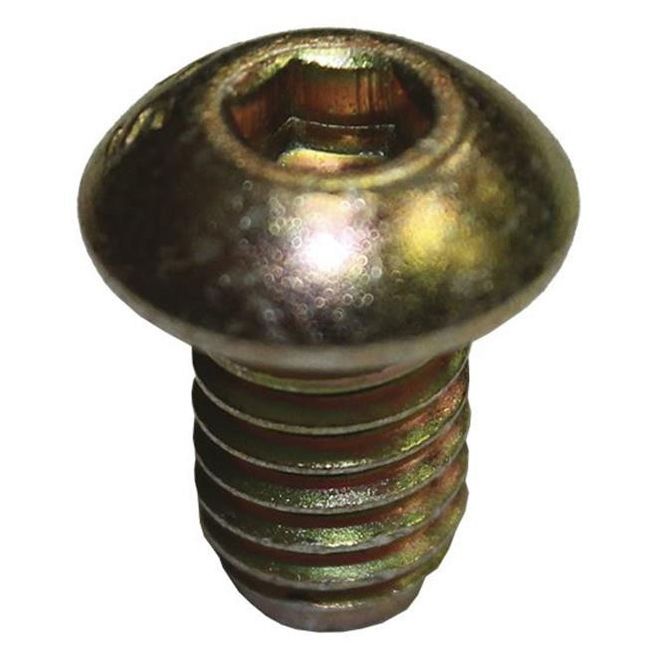 Bert Transmissions 28 Button Head Screw - Walmart.com