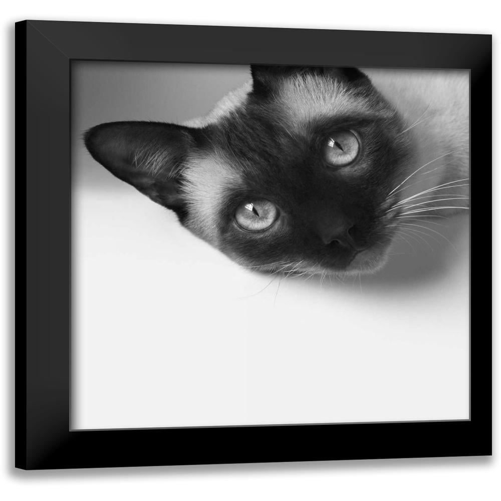 Bertelli, Jon 15x15 Black Modern Framed Museum Art Print Titled - Hey ...