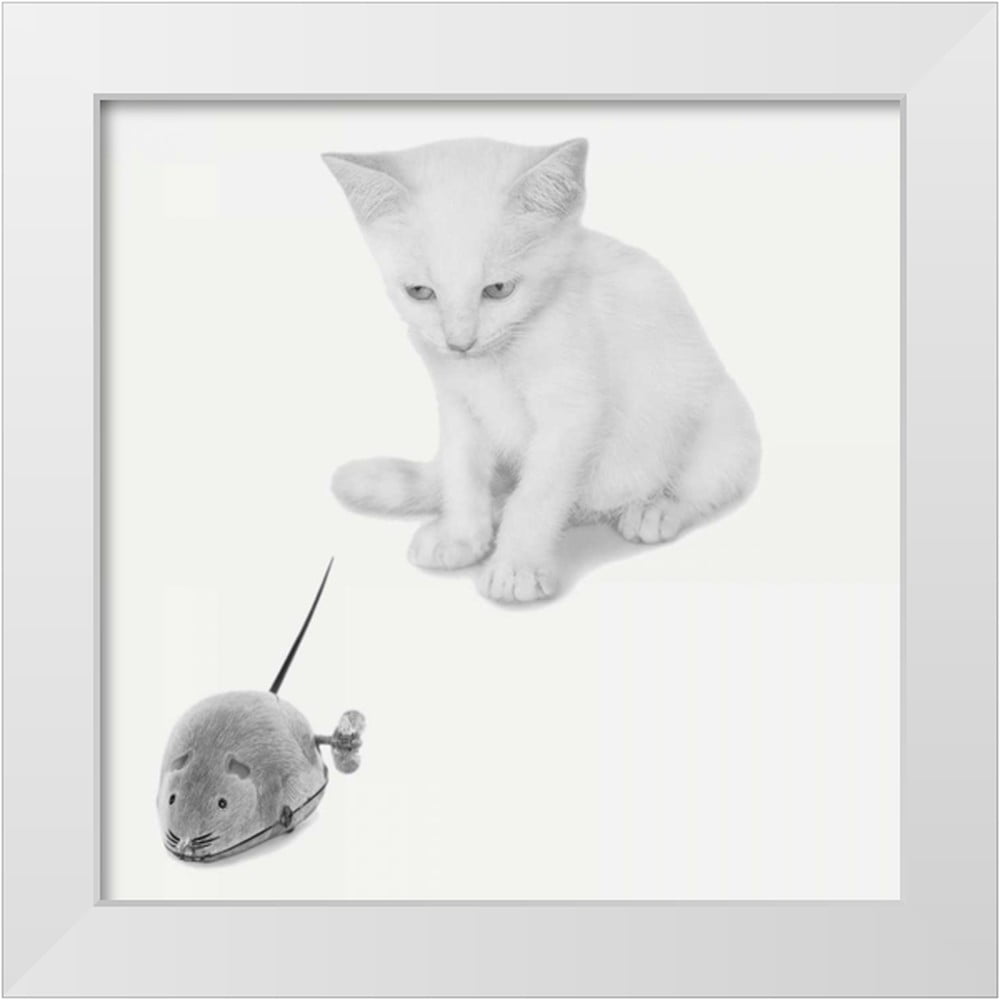 Bertelli, Jon 26x26 White Modern Wood Framed Museum Art Print Titled ...
