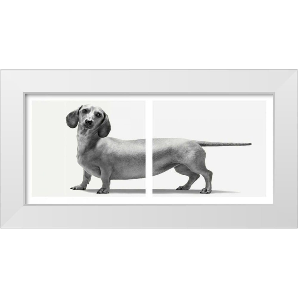 Bertelli, Jon 32x16 White Modern Wood Framed Museum Art Print Titled ...