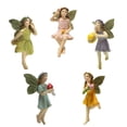 Beruyu 5 Pcs Fairy Garden Accessories Miniature Fairies Figurines Resin ...
