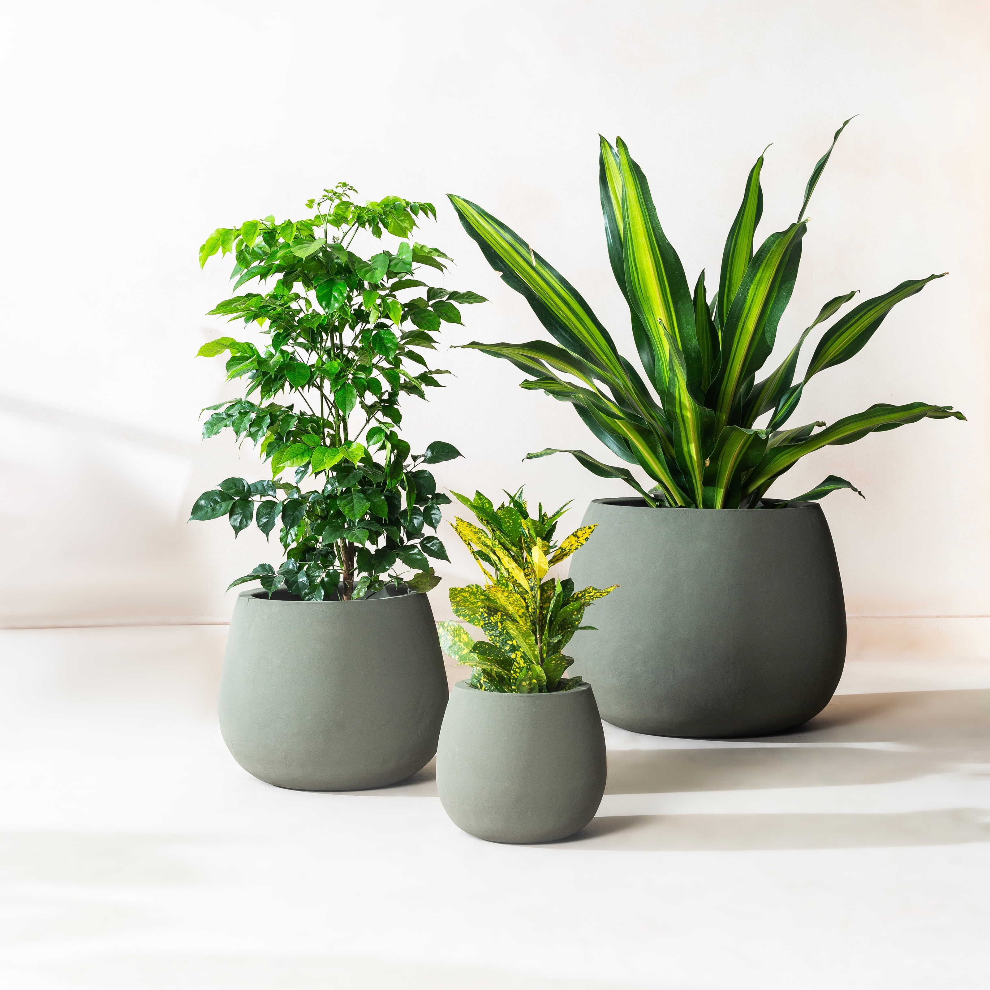 Fab Habitat Beryl Handmade Round Metal Planters in Verde / Sage Green ...