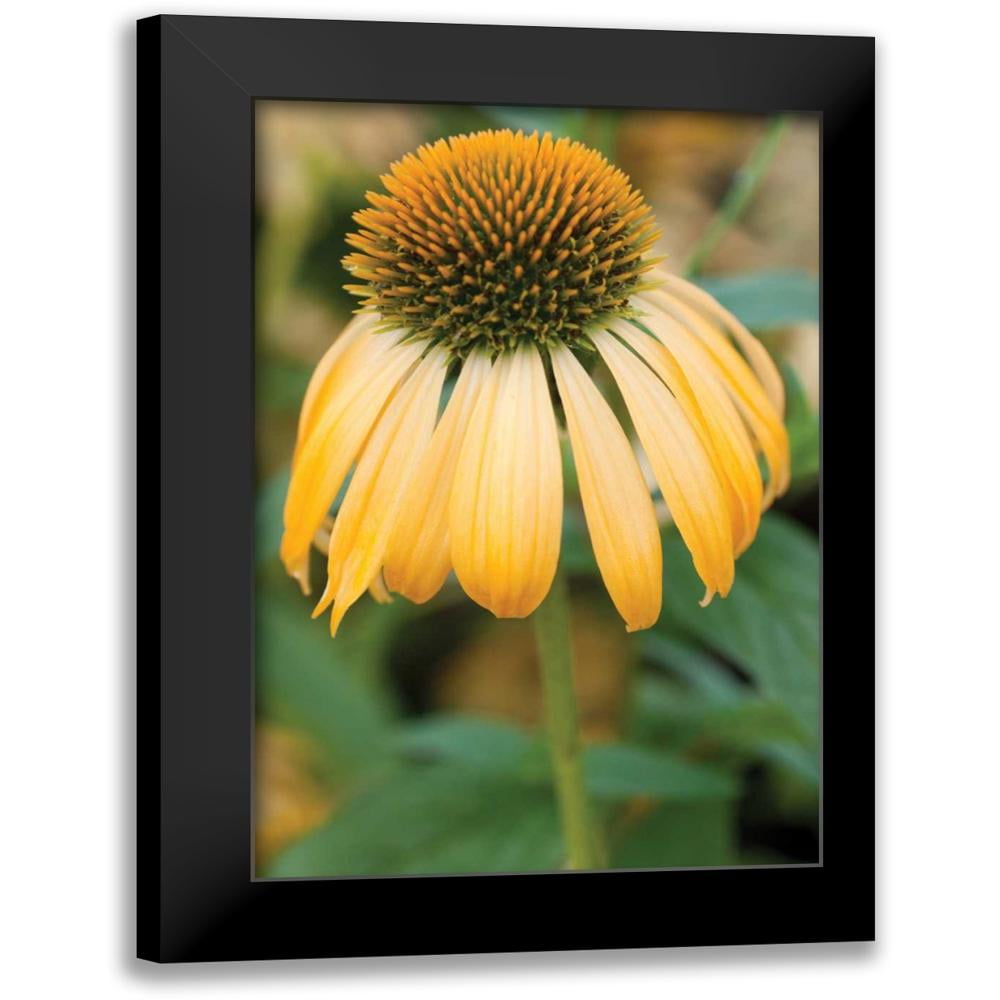 Berzel, Erin 11x14 Black Modern Framed Museum Art Print Titled ...