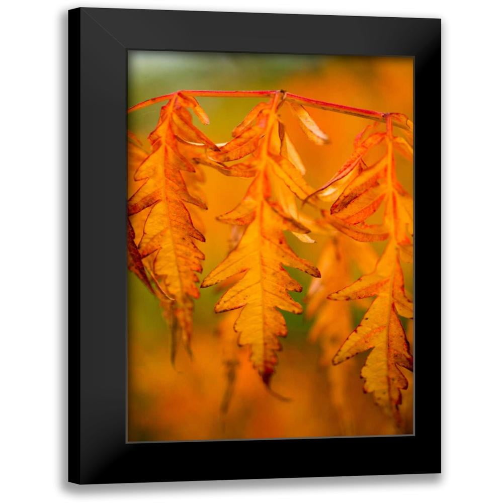 Berzel, Erin 11x14 Black Modern Framed Museum Art Print Titled - Fall ...