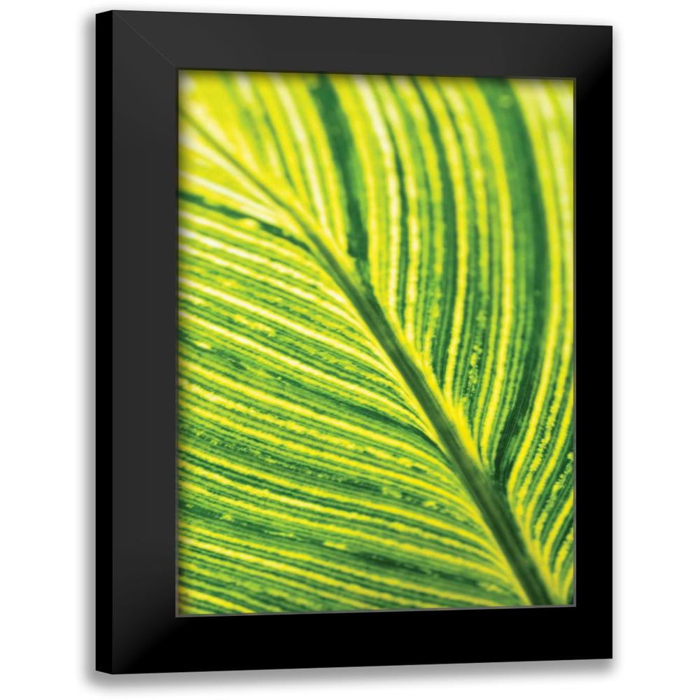 Berzel, Erin 11x14 Black Modern Framed Museum Art Print Titled - Leaf ...