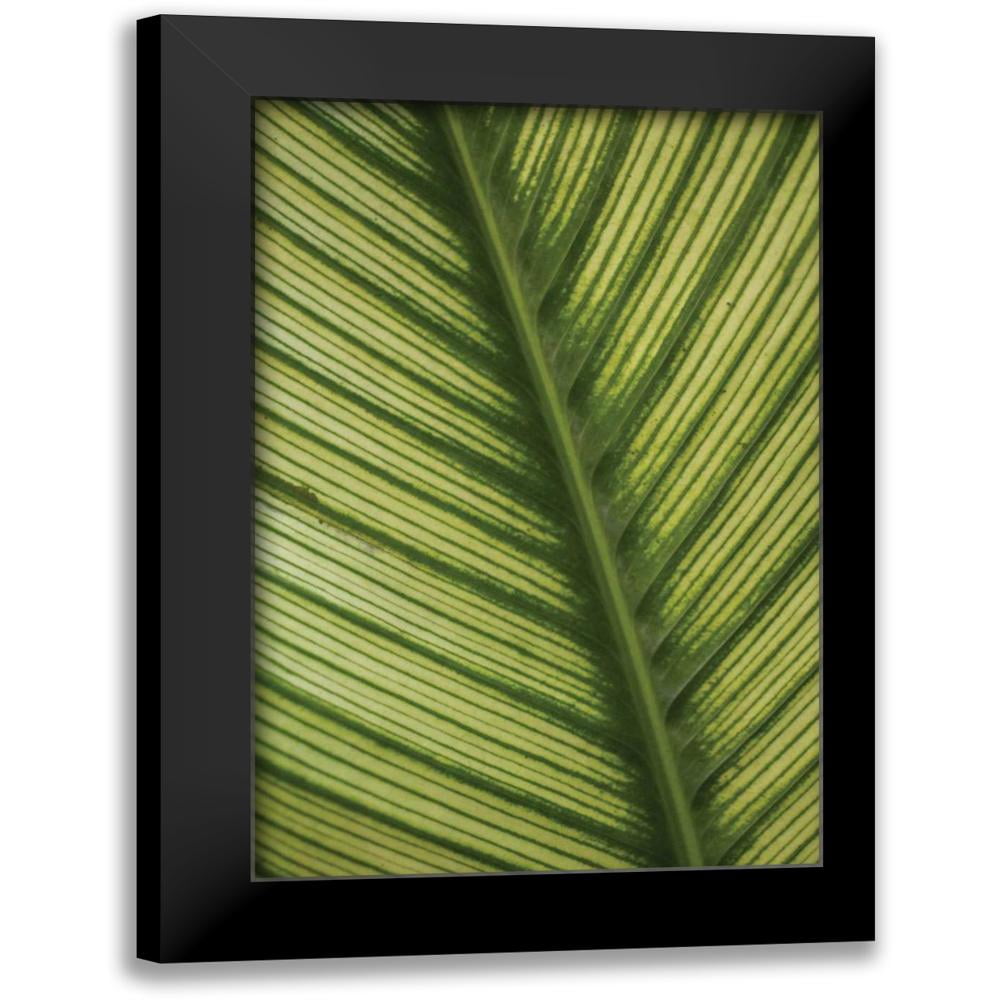 Berzel, Erin 11x14 Black Modern Framed Museum Art Print Titled - Leaf ...