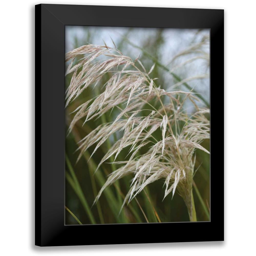 Berzel, Erin 11x14 Black Modern Framed Museum Art Print Titled - Native ...